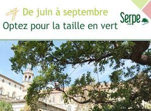 GROUPE SERPE | Facilities